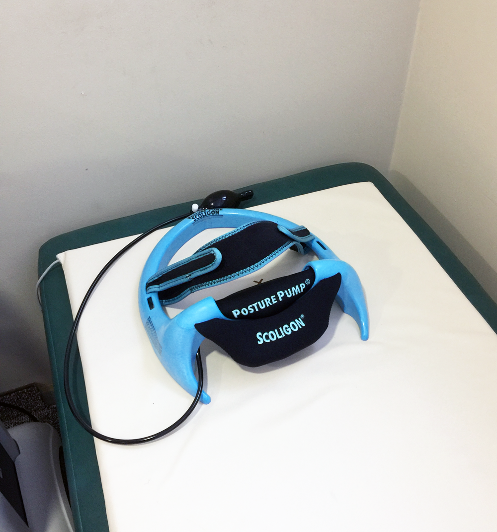 Posture Pump Disc Hydrator – Sheldon Chiropractic and Wellness